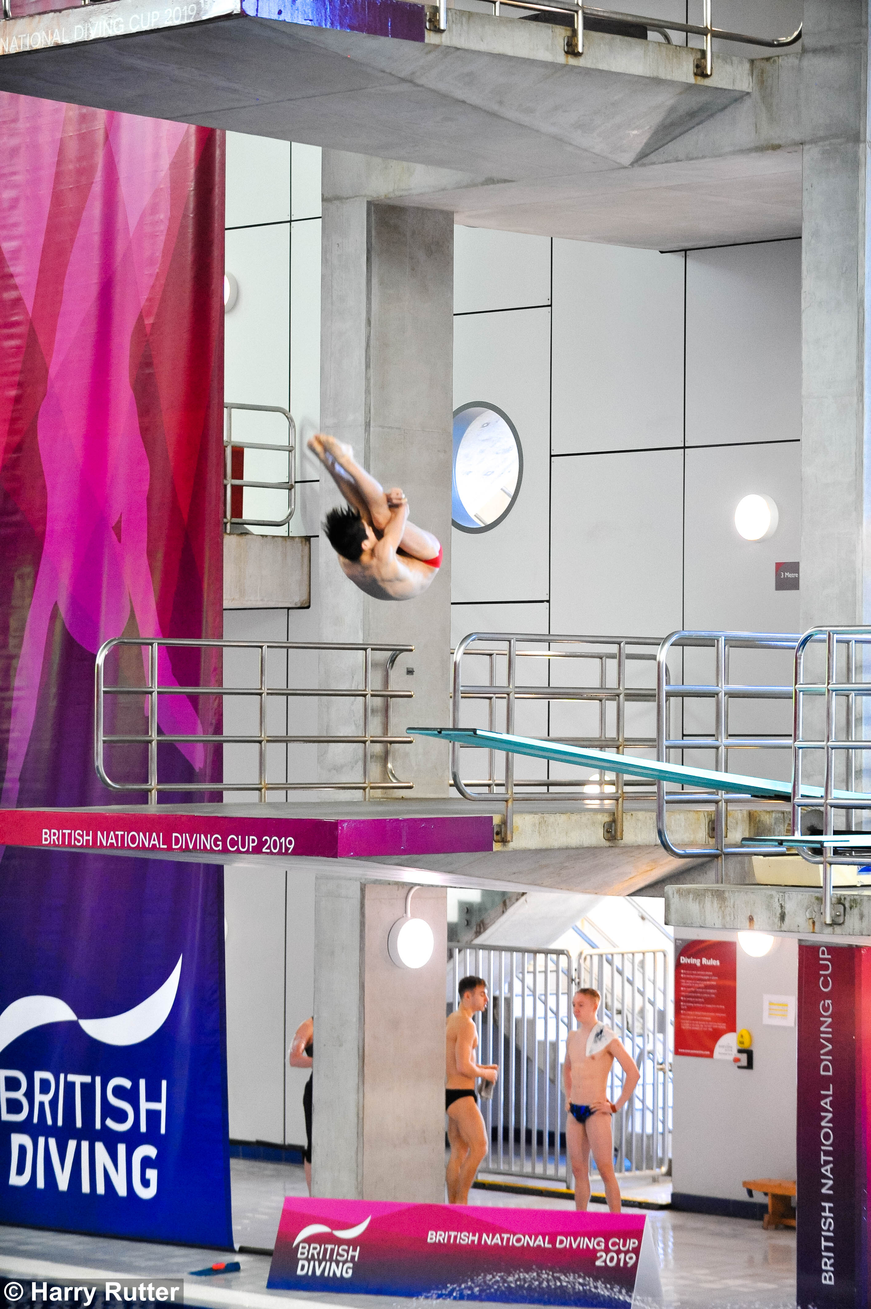 British National Diving Cup: Daniel Goodfellow, Anthony Harding, Adrian ...